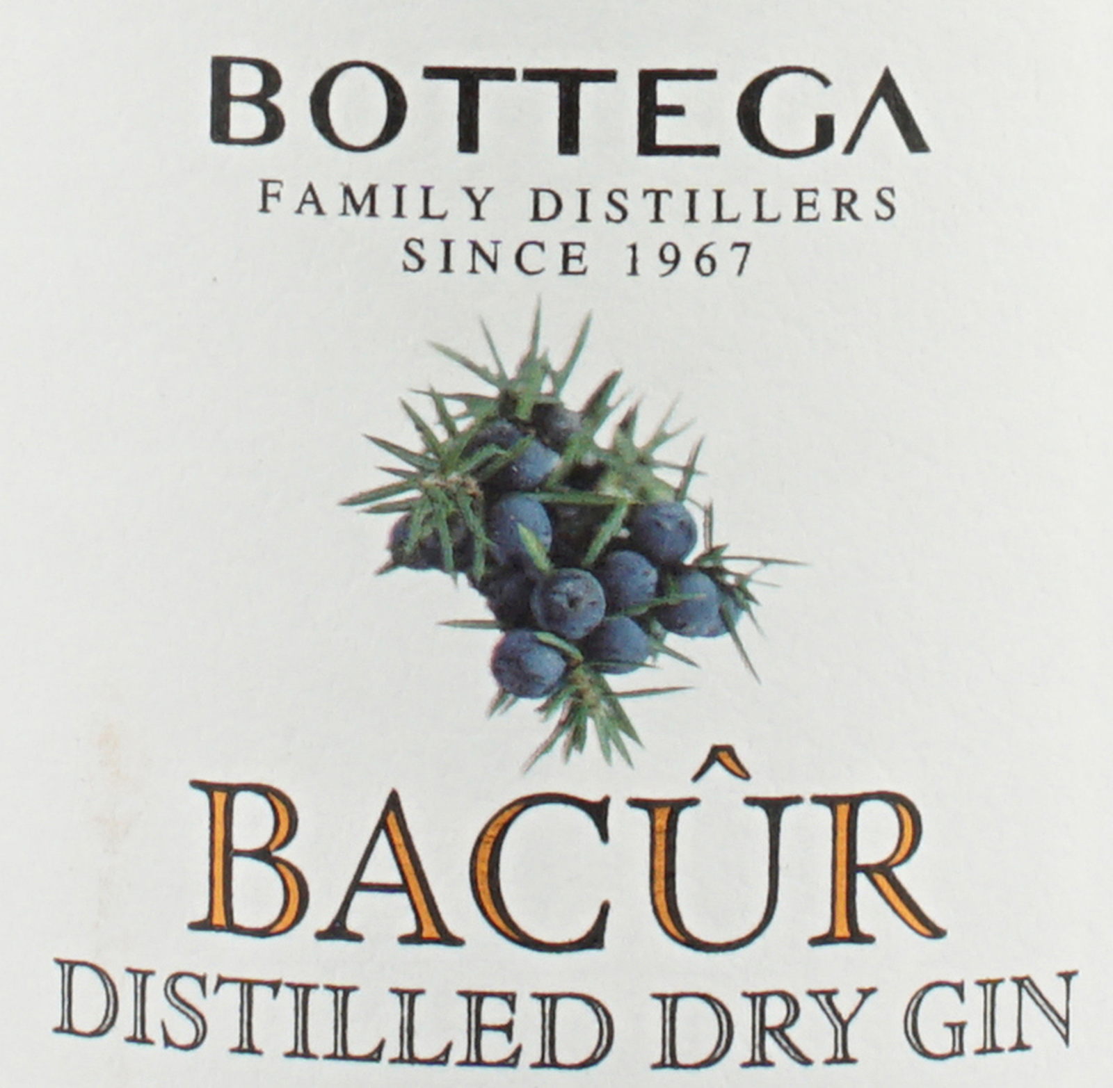 Bottega Bacur Dry Gin Italienischer Genuss